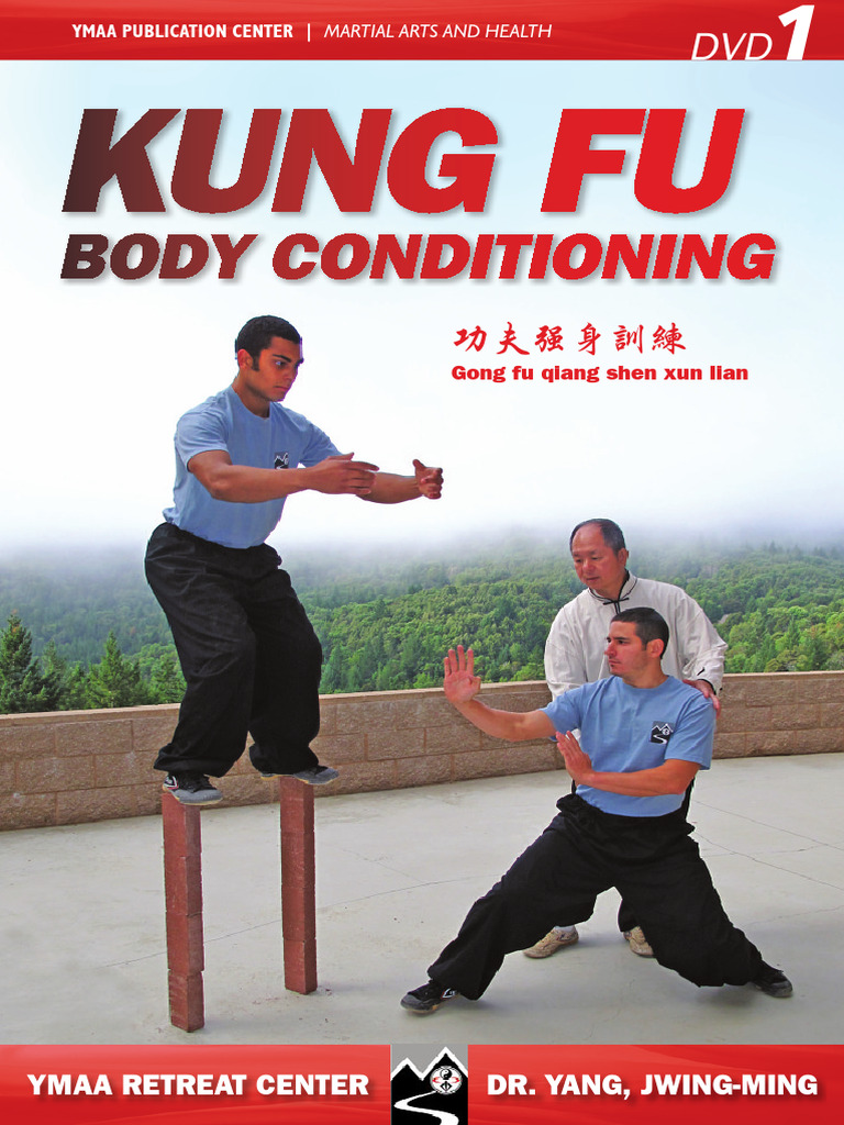 Shaolin Iron Body Training Guide | PDF