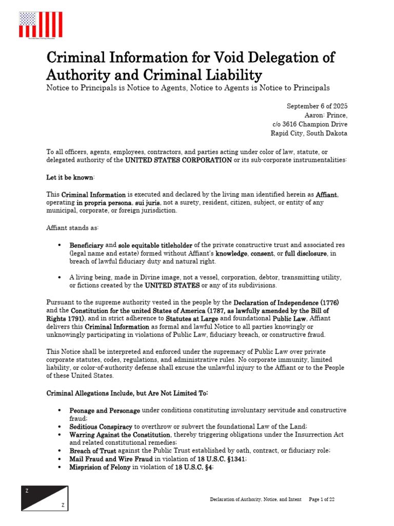 Declaration of Intent Silver Bullet | PDF | Title 18 Of The United ...