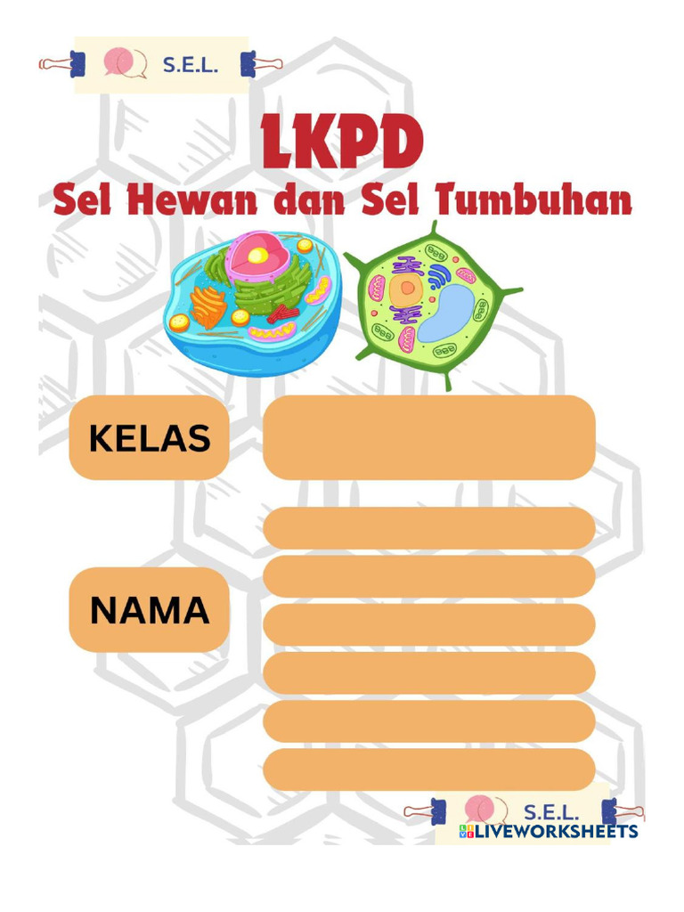 Sel 1 | PDF