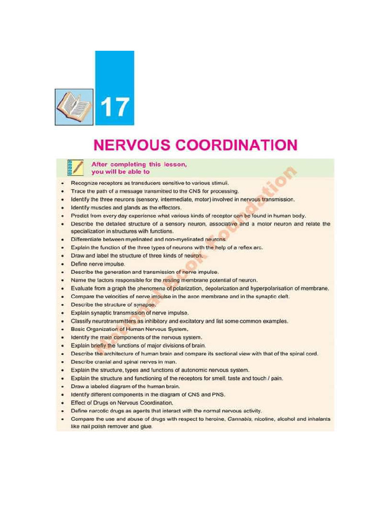 Biology Chp#04 Nervous Coordination-Touseef Ahmad-MDCAT by FUTURE ...