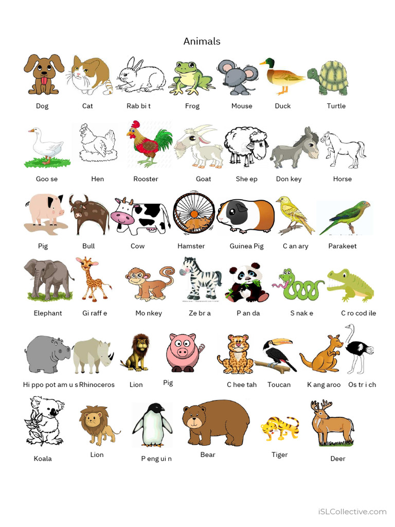 Animals Pictionary - PDF 6 | PDF