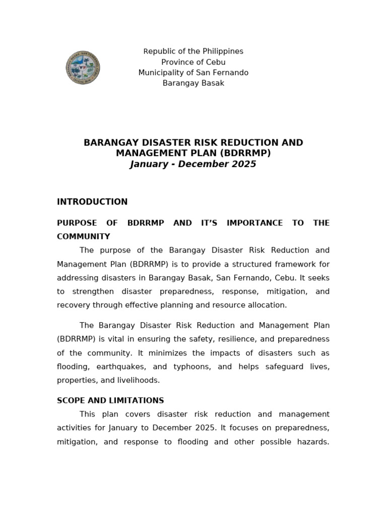 Basak BDRRM Plan 2025 | PDF | Emergency Management | Disaster Risk ...
