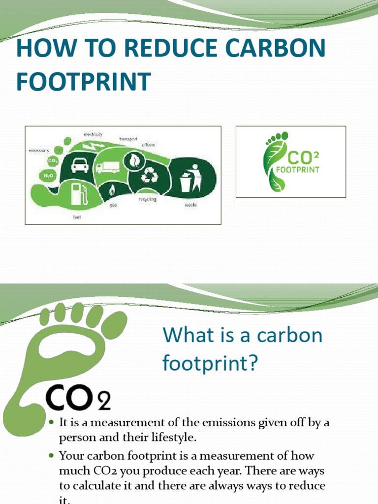 Creative Carbon Footprint Solutions | PDF | Greenhouse Gas | Biofuel