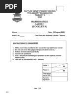 P6 Maths Prelim 2025 MGS Exam Papers | PDF