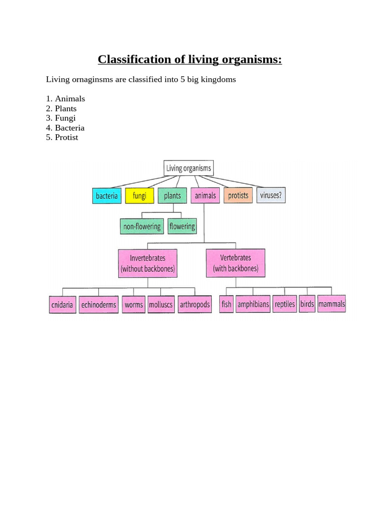 Classification of Living Organisms | PDF