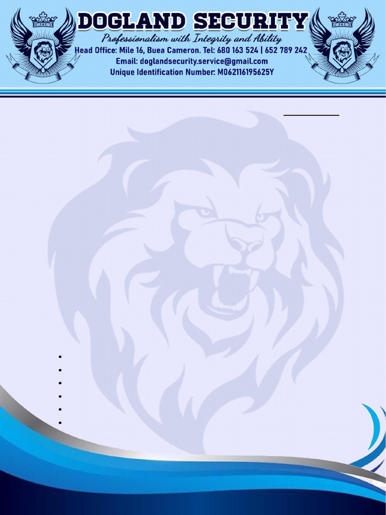 DOGLAND Apointment Letter Lokima James | PDF