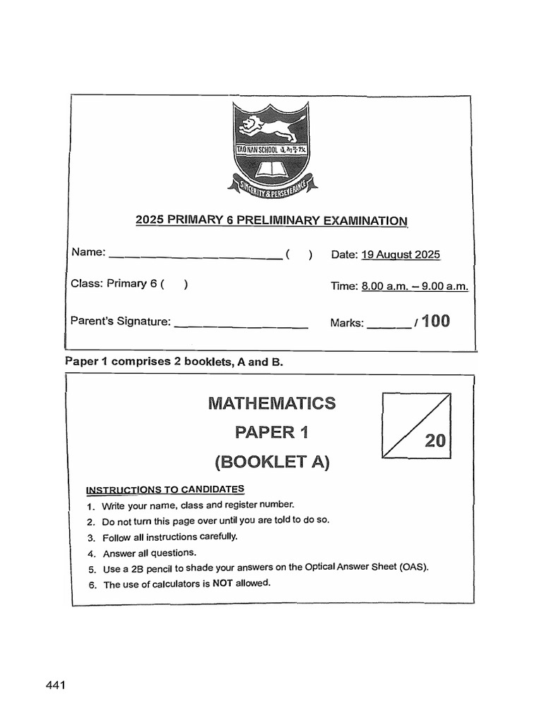 P6 Maths Prelim 2025 TaoNan Exam Papers | PDF