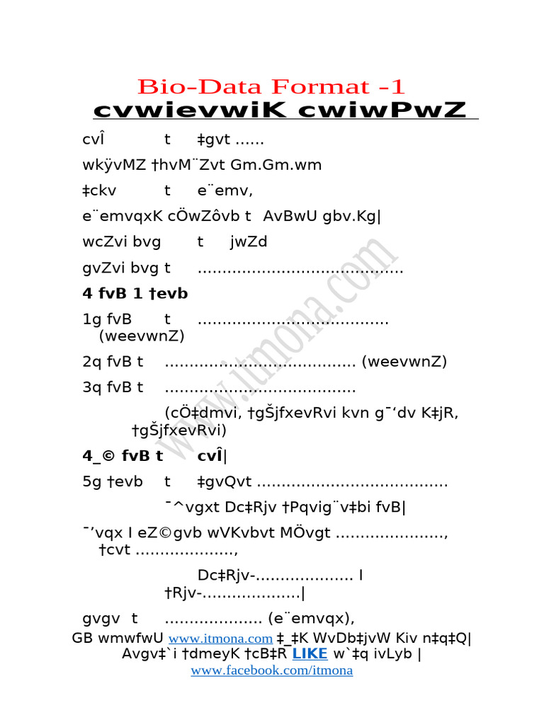 3 Marriage CV Format Word File Download [Www.itmona.com | PDF