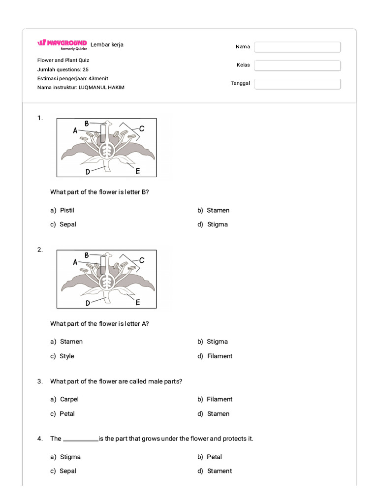 Flower and Plant Quiz - Wayground | PDF | Flowers | Seed