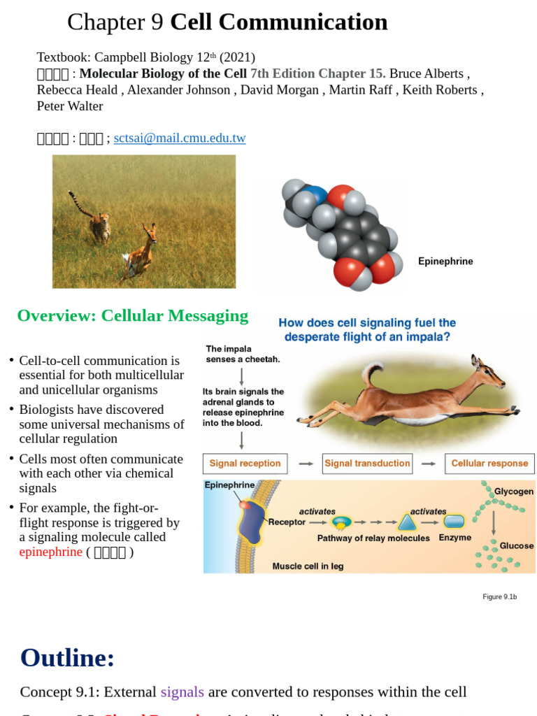 Cell Communication Mechanisms Explained | PDF | Cell Signaling | Signal ...
