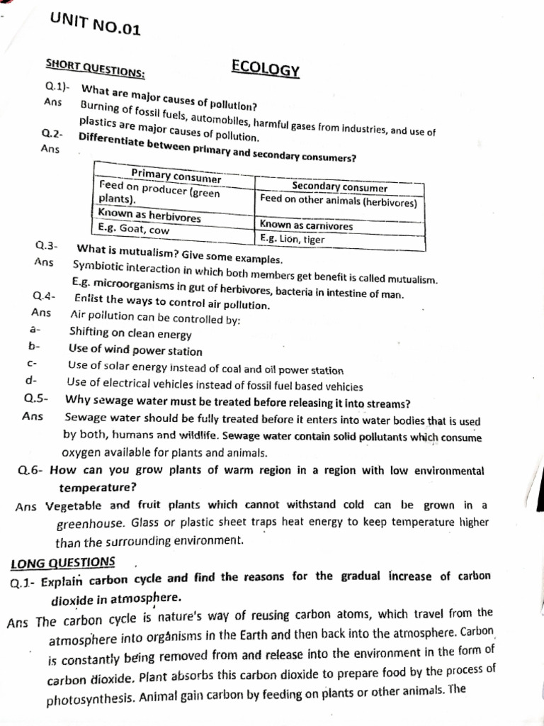 Science Class 8 | PDF