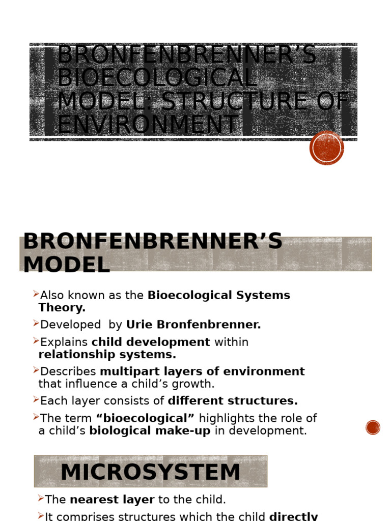 Bronfenbrenner's Bioecological Model Explained | PDF