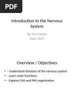 Nervous System Diagram | PDF