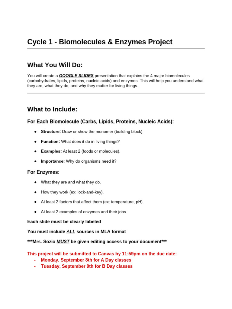 Biomolecules & Enzymes Project - Cycle 1 | PDF | Biomolecules | Enzyme