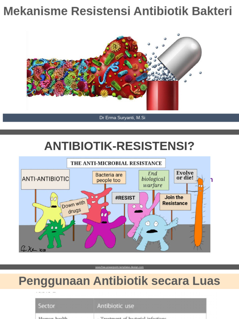 Mekanisme Resistensi Antibiotik Bakteri | PDF