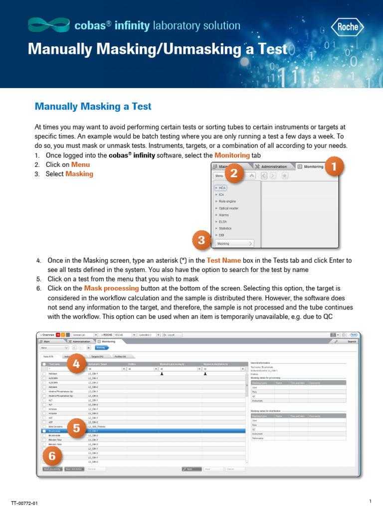 Data Bytes Manually Masking and Unmasking A Test QRG | PDF | Computing