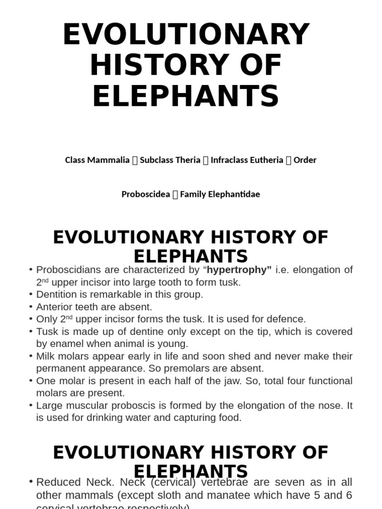 Evolutionary History of Elephants | PDF | Elephant
