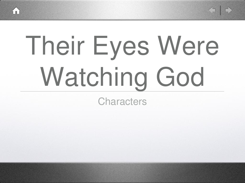 Their Eyes Were Watching God: Characters | PDF