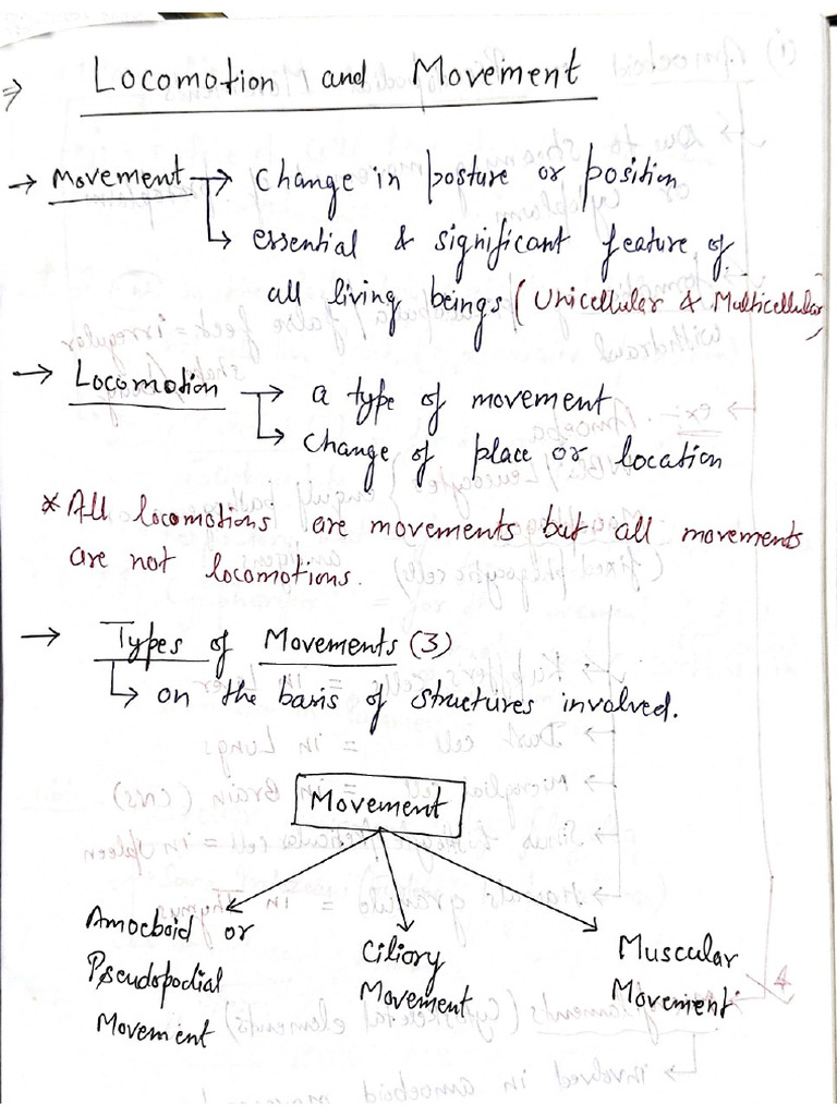 Latest Notes of Locomotion and Movement | PDF