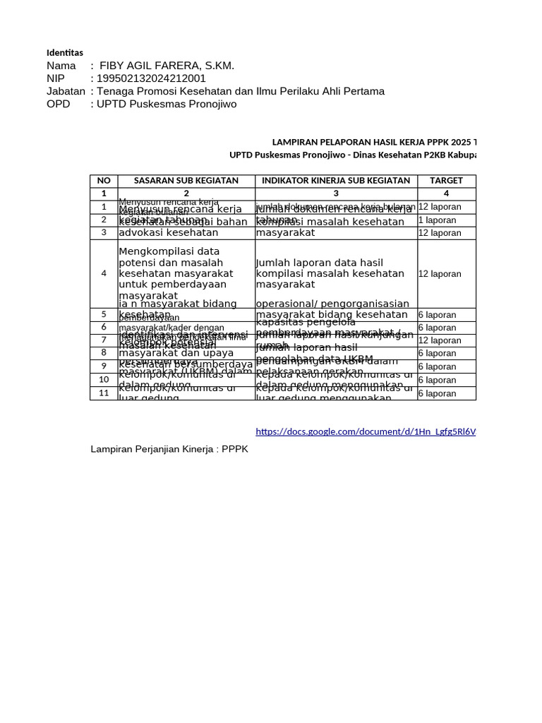 Pelaporan Hasil Kerja PPPK Tribulan 1 Tahun 2025 | PDF