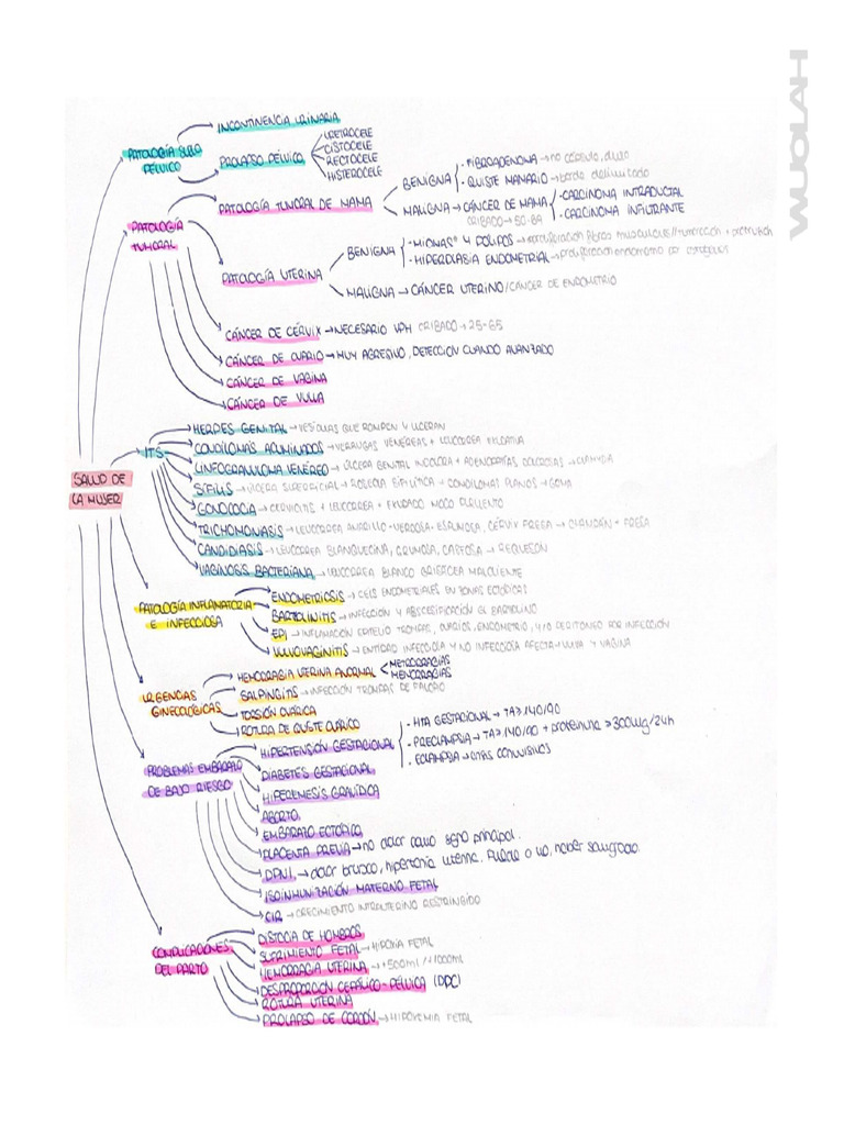 Esquemas Patologías SM | PDF