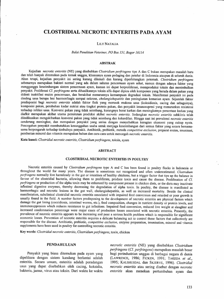 Penyakit Enteritis Nekrotik pada Ayam | PDF