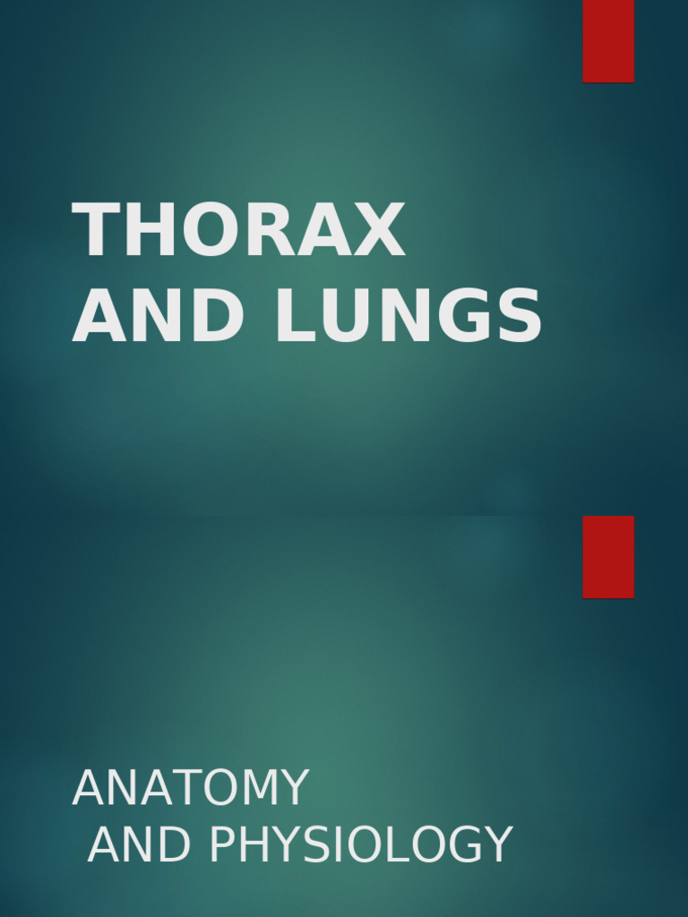 Pa - Thorax and Lungs | PDF | Thorax | Lung