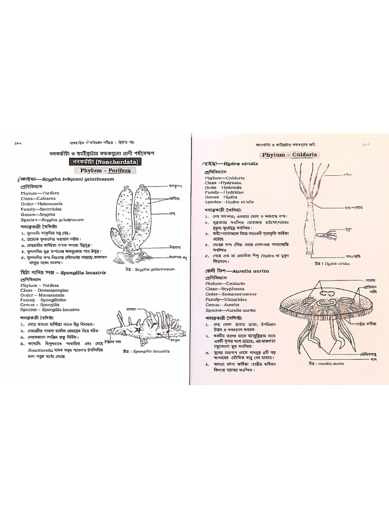 Biology Practical PDF | PDF