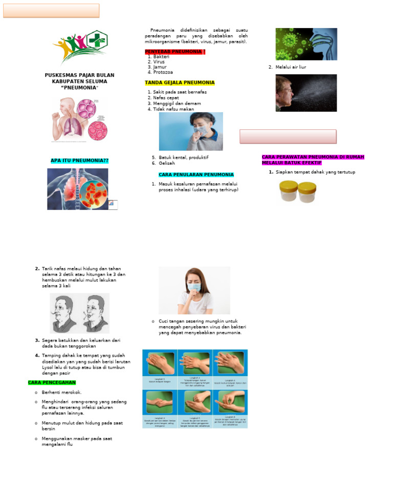 Leaflet Pneumonia | PDF