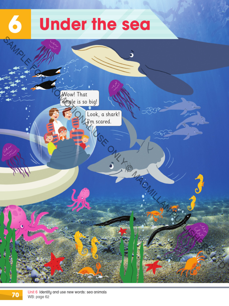 Academy Stars 3: Sea Animals Unit | PDF | Linguistics | Zoology
