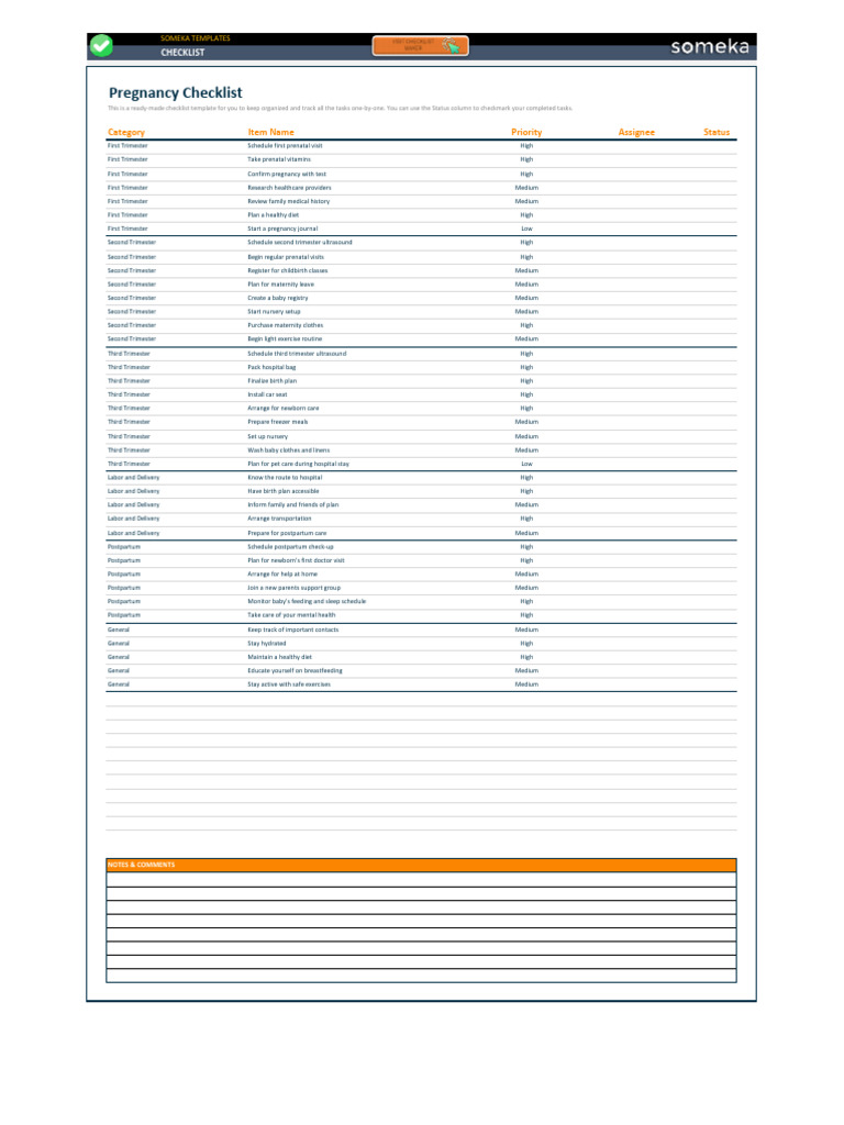 Essential Pregnancy Checklist Template | PDF | Pregnancy | Postpartum ...