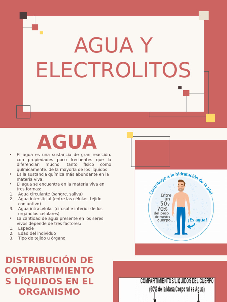 Agua y electrolitos: funciones y propiedades | PDF