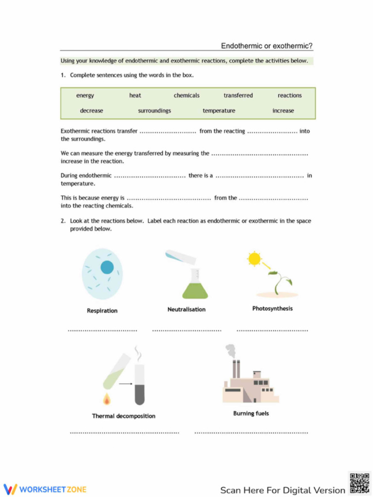 Endothermic Exothermic Worksheet | PDF