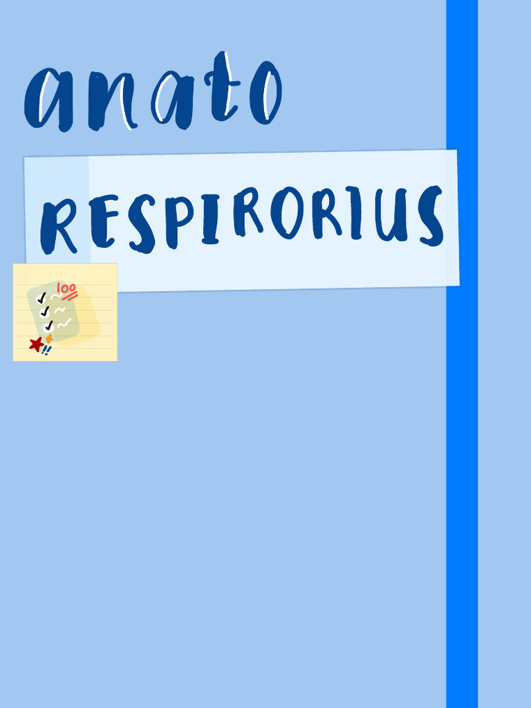 Anatomy Respirasi 2 241128 142948 | PDF | Human Nose | Human Anatomy