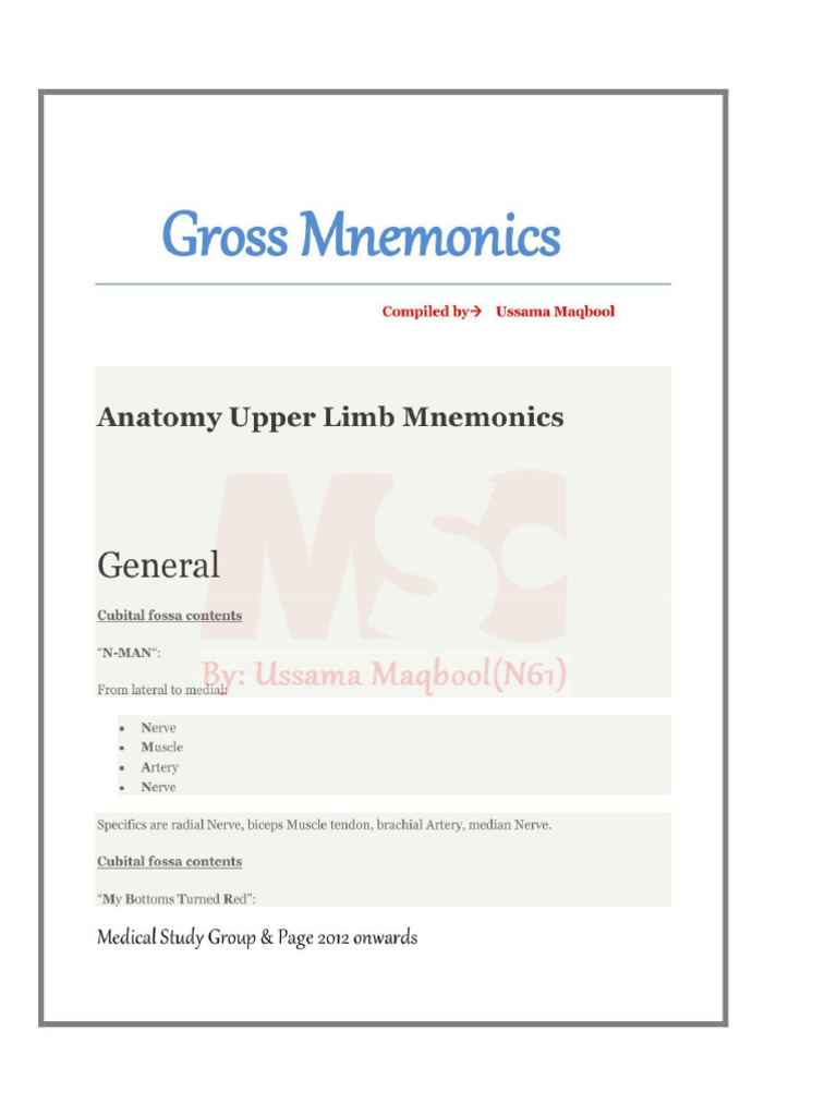 Gross Mnemonics by Medical Study Center - PDF - 680 | PDF