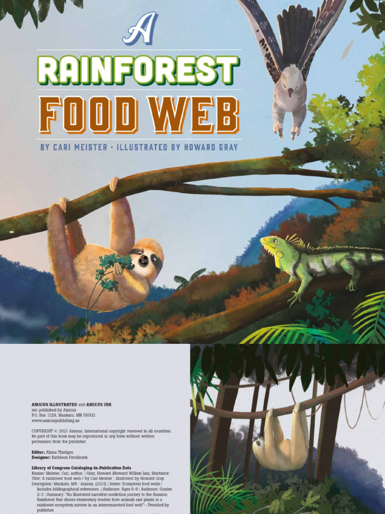 A Rainforest Food Web | PDF
