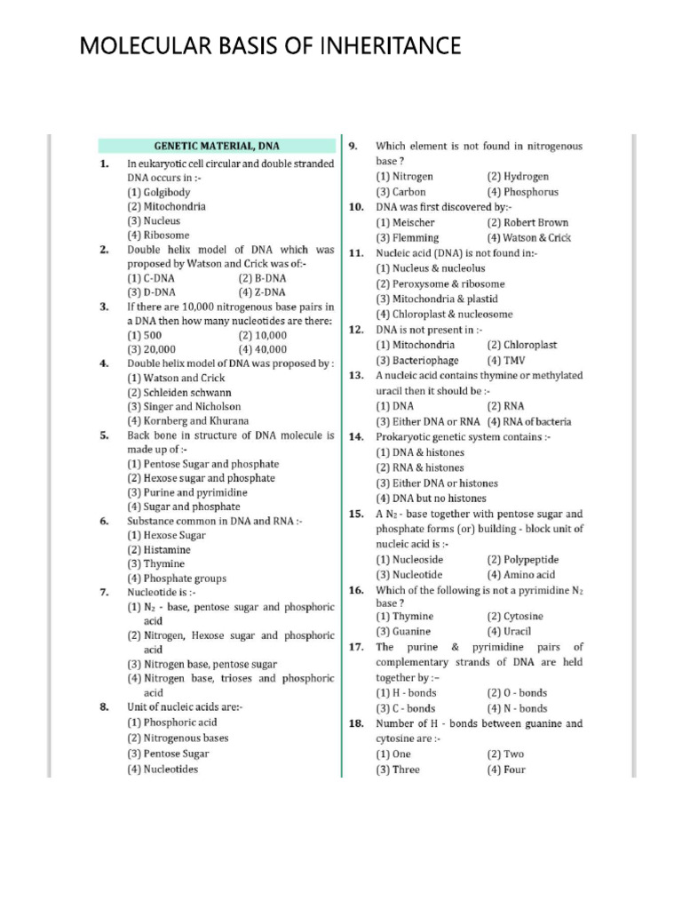 Molecular Basis Assignment | PDF