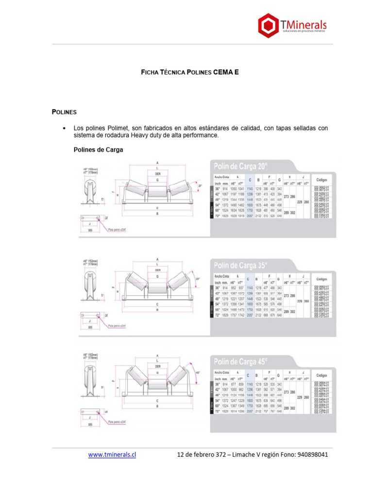 Polines CEMA E: Calidad y Estándares | PDF