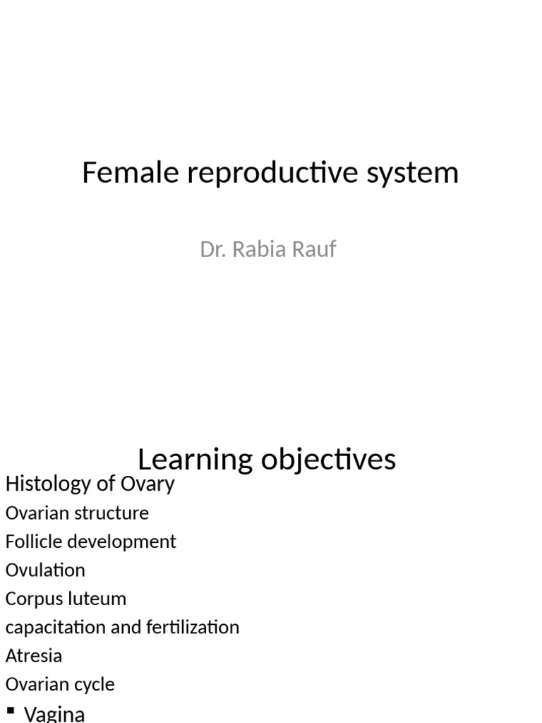 Histology Female Reproductive System | PDF | Ovary | Epithelium
