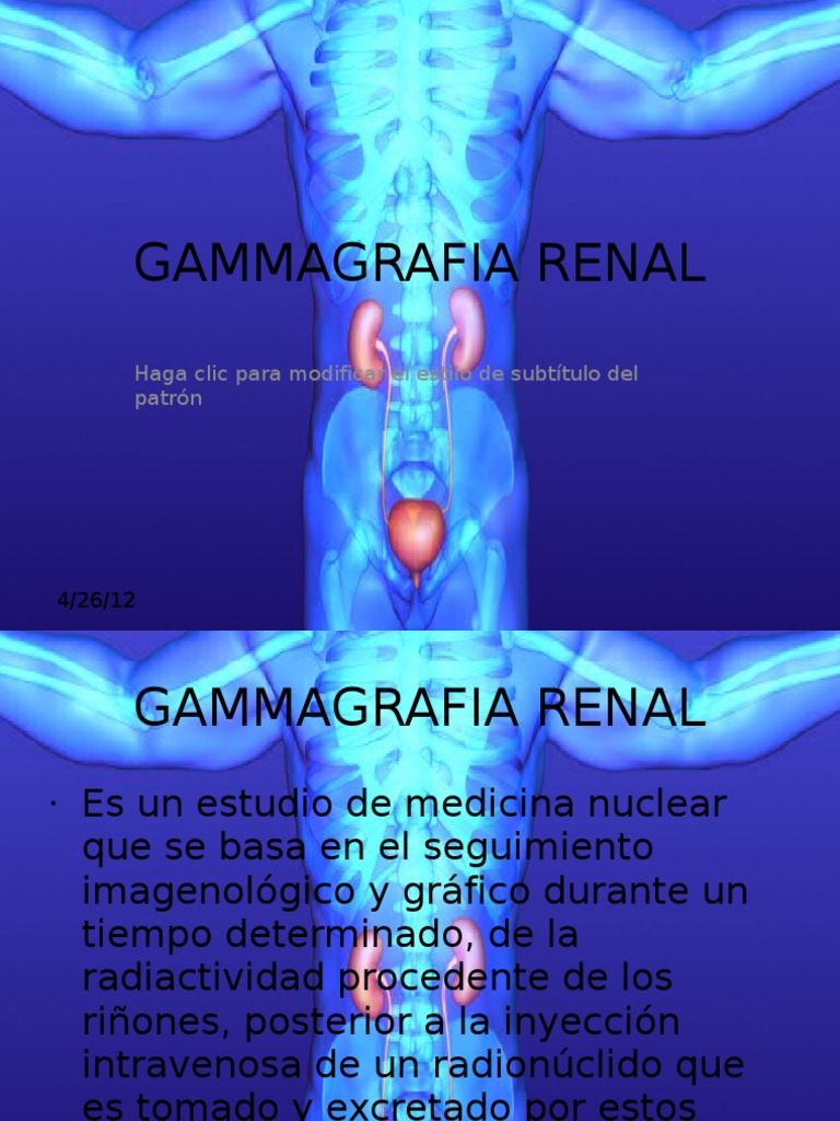 Gammagrafia Renal | Riñón | Anatomía