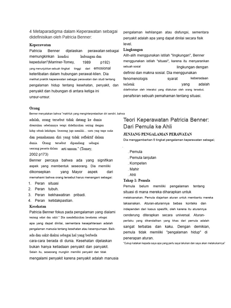 4 Metaparadigma Dalam Keperawatan Seperti Yang Didefinisikan Oleh Patricia Benner | PDF