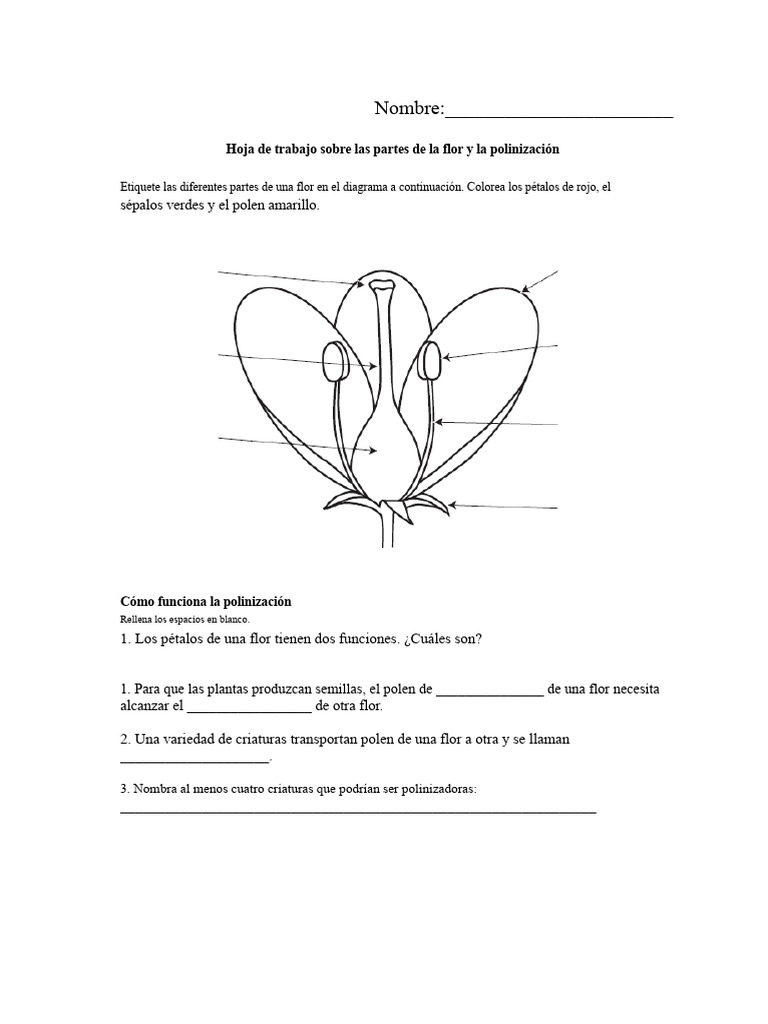 Hoja de Trabajo de Flores | PDF