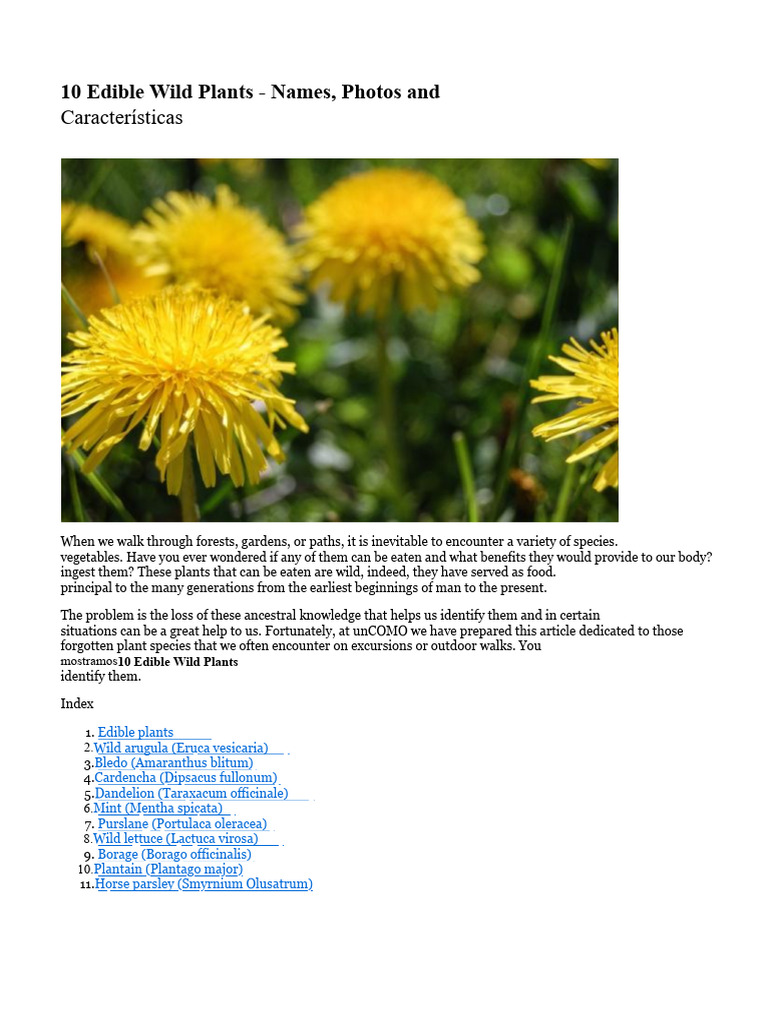 10 Edible Wild Plants - Names, Photos, and Characteristics | PDF ...