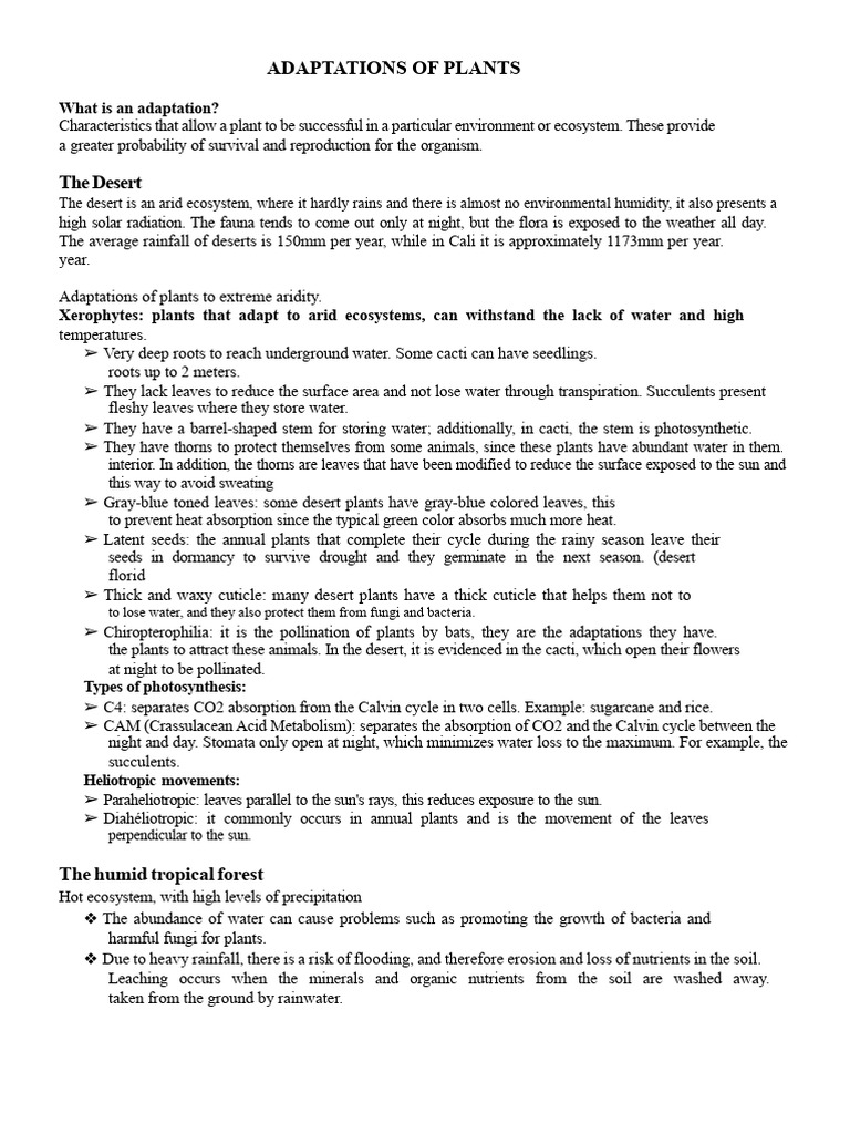 Plant adaptations - Ecosystems | PDF | Desert | Leaf
