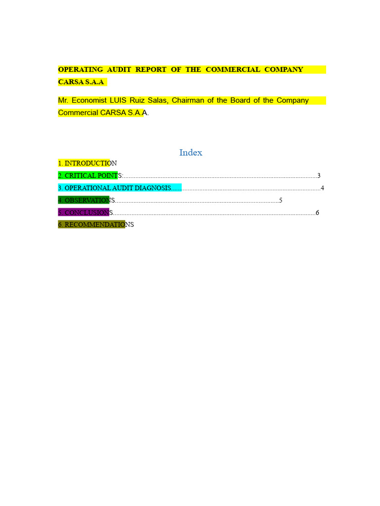 Operational Audit Report of The Commercial Company Carsa S | PDF ...