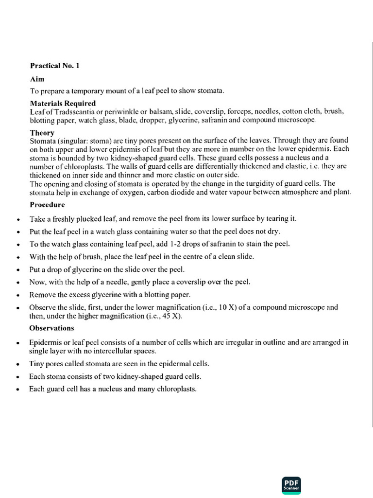 Grade 10 Bio Practical 2025 26 Pdf Pdf