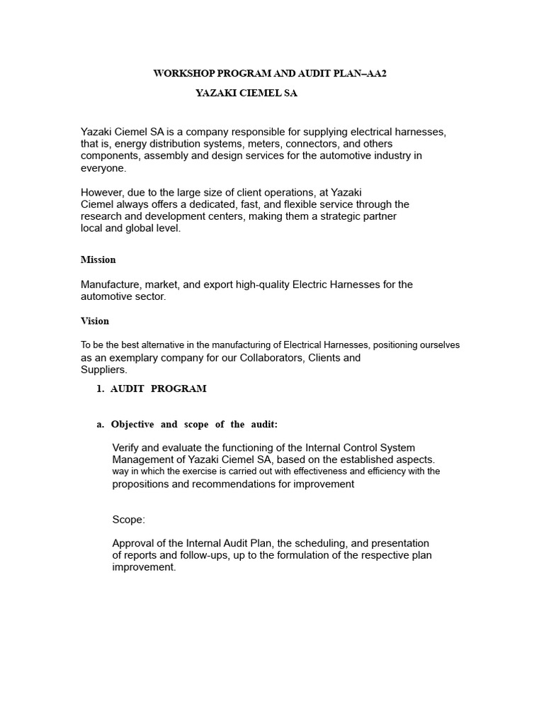 Workshop Program and Audit Plan | PDF | Audit | Internal Control