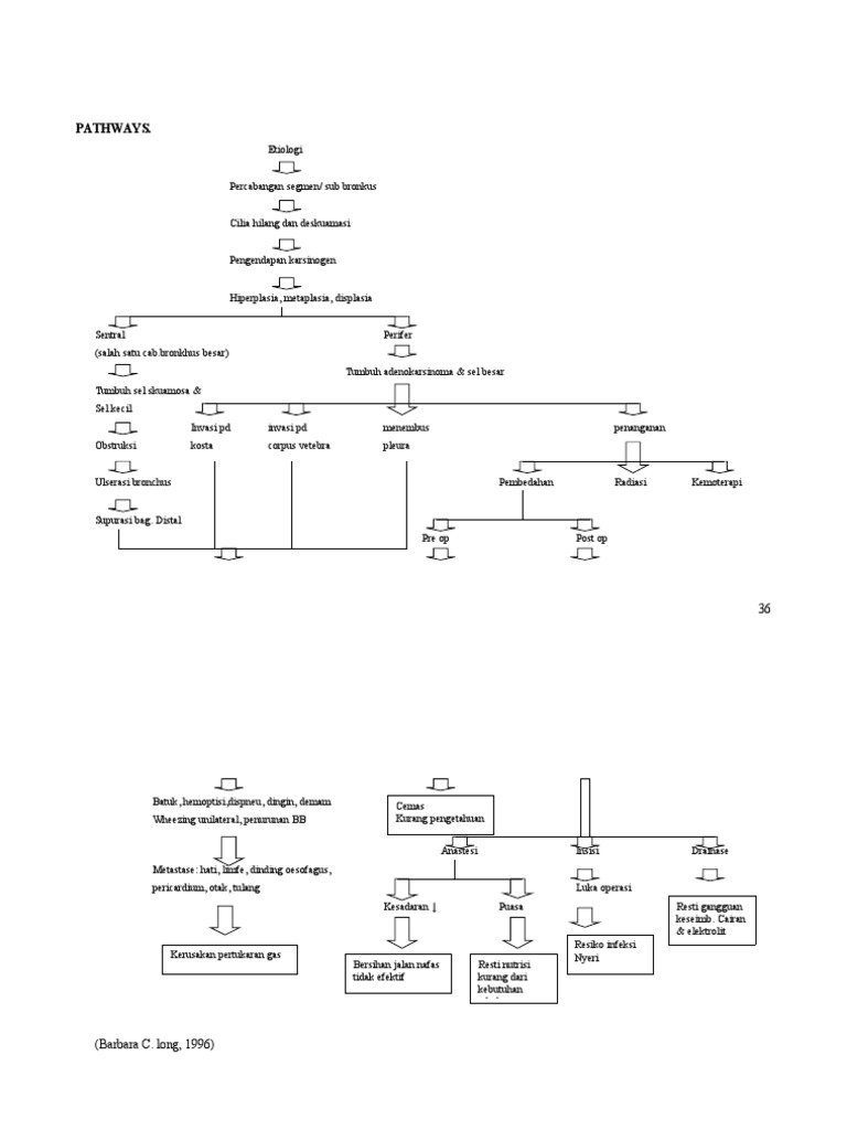Pathway CA Paru | PDF