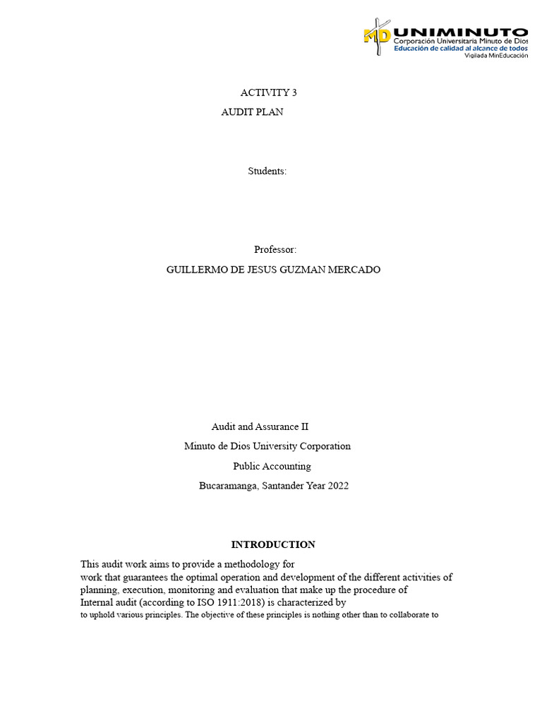 AUDIT AND ASSURANCE II - Activity 3 | PDF | Audit | Internal Audit