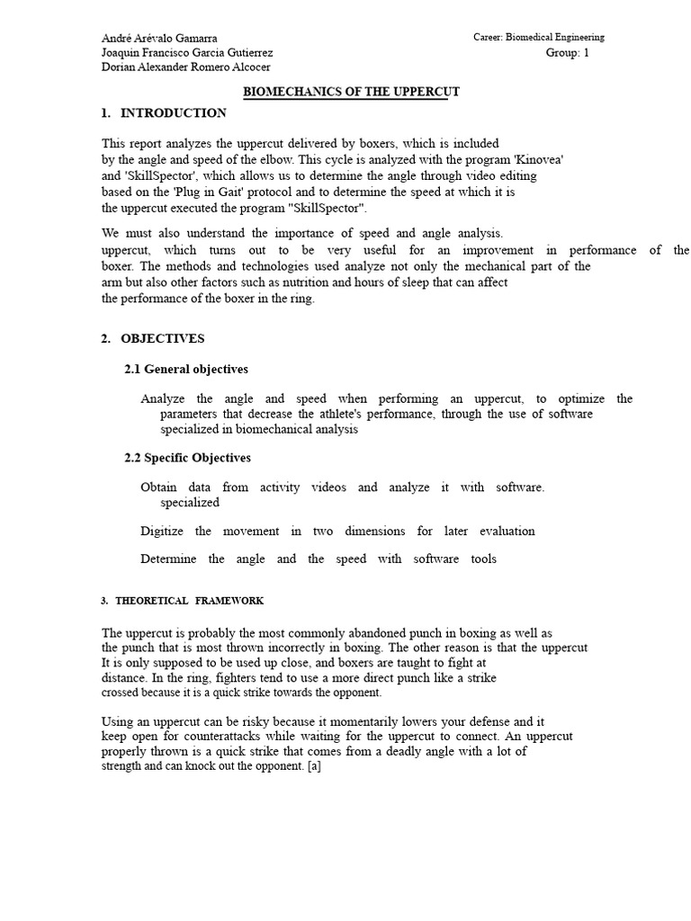Uppercut Biomechanics Analysis Report | PDF | Biomechanics | Acceleration